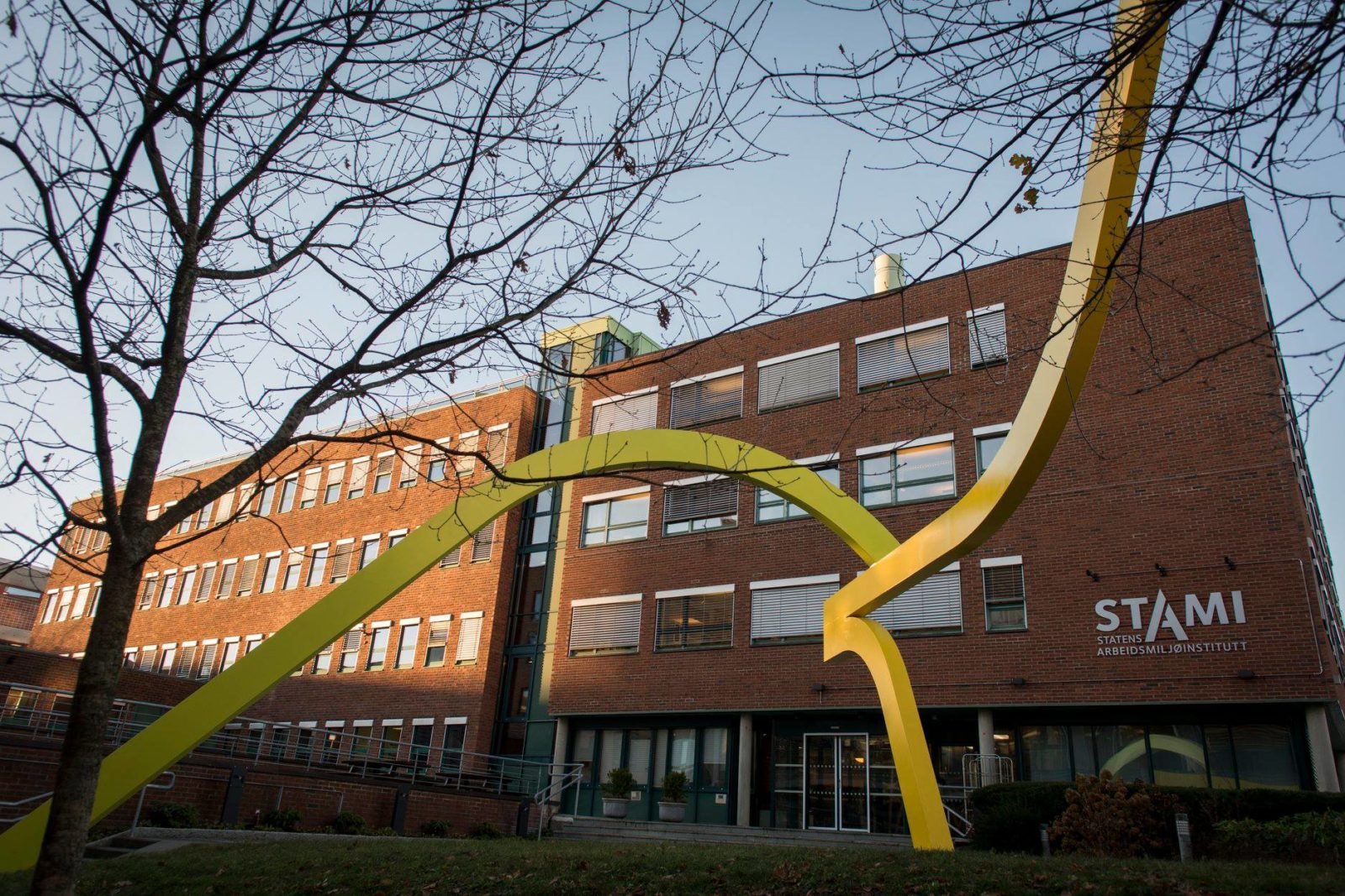 Preventing work-related cancer - current research and future research ...