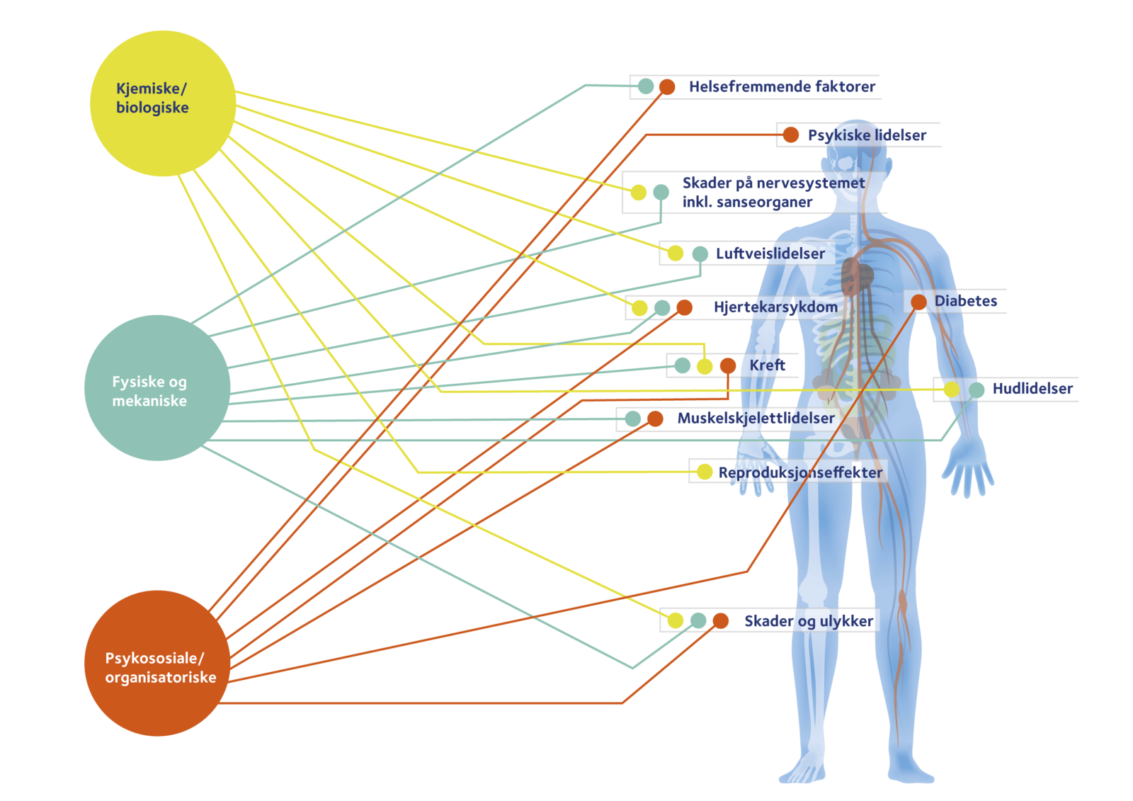 Forskning og forskningsområder - STAMI